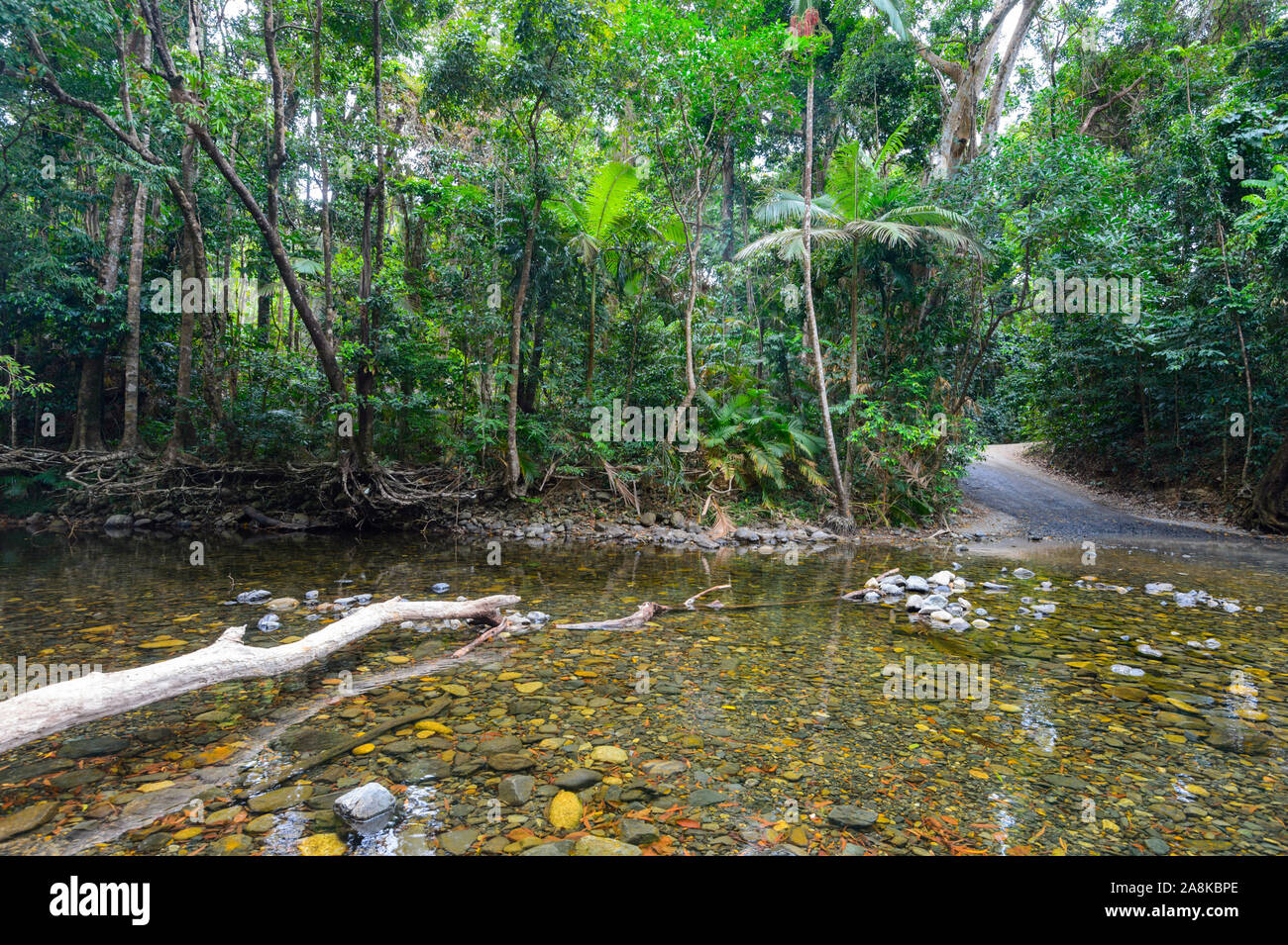 River crossing at Emmagen Creek on the Bloomfield Track, Cape ...