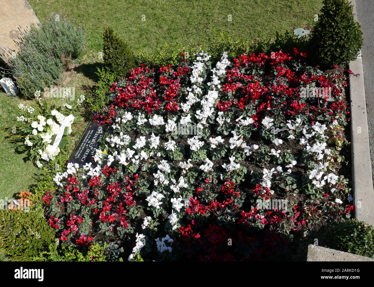 Hollywood, California, USA 9th November 2019 A general view of ...