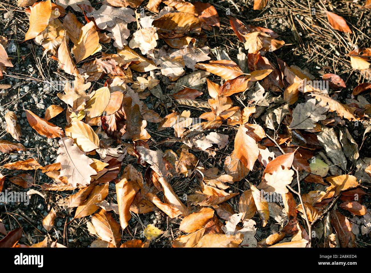 Wet ground underfoot hi-res stock photography and images - Alamy