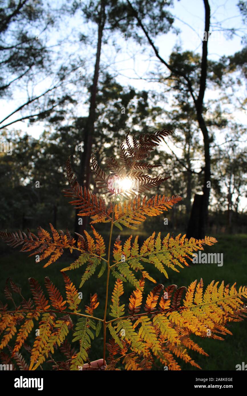 Blissful nature hi-res stock photography and images - Alamy