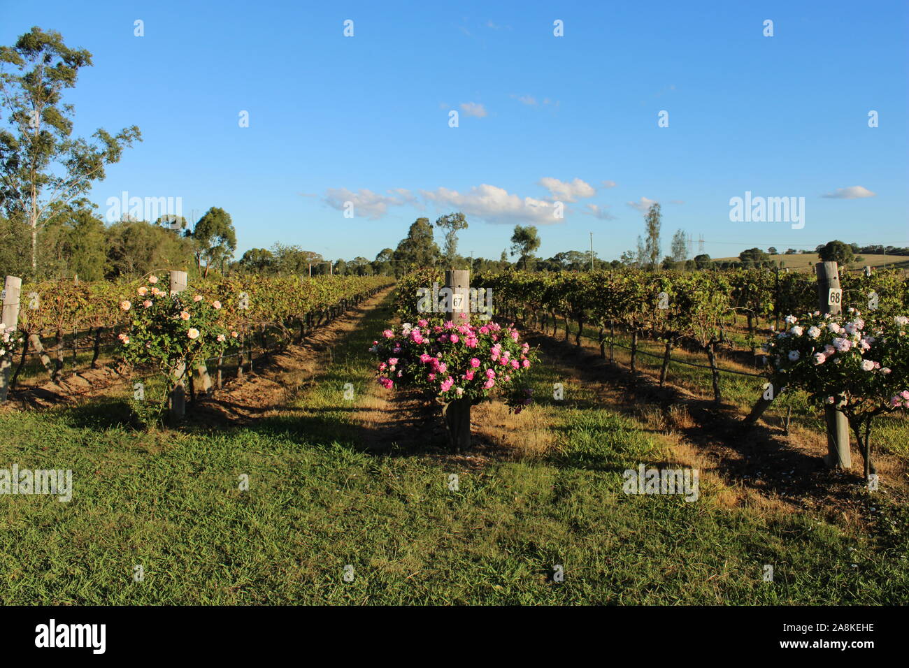 Blissful nature hi-res stock photography and images - Alamy