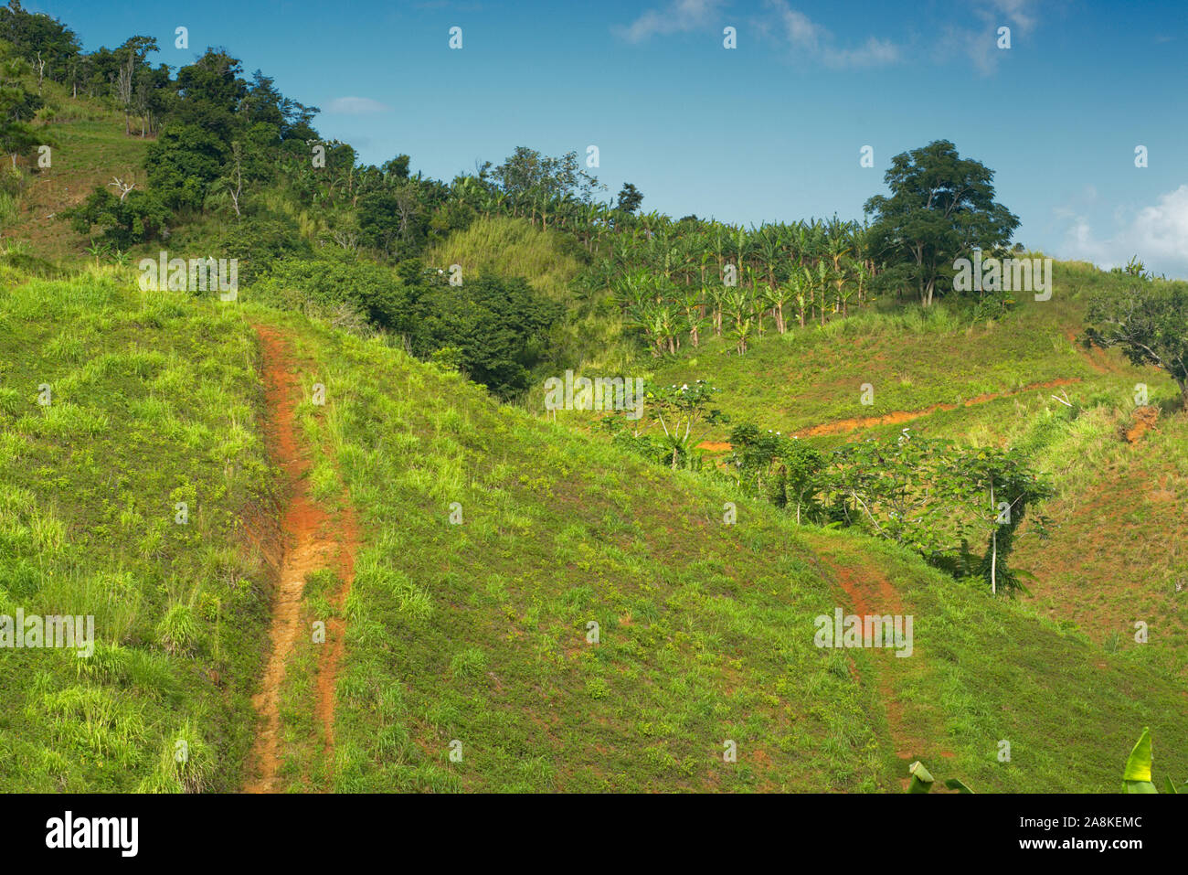 Orocovis puerto rico hi-res stock photography and images - Alamy