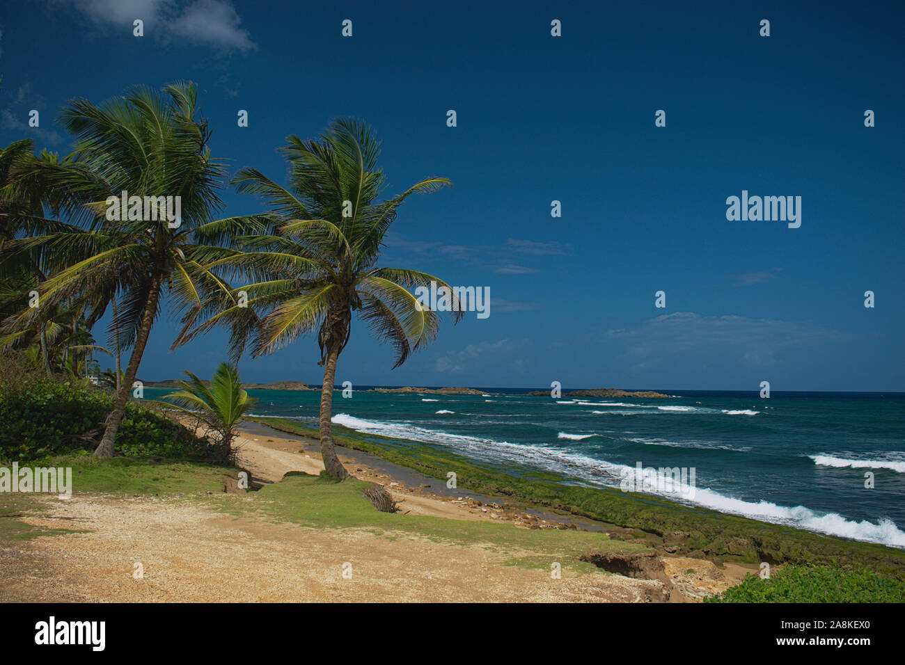 Vega baja hi-res stock photography and images - Alamy