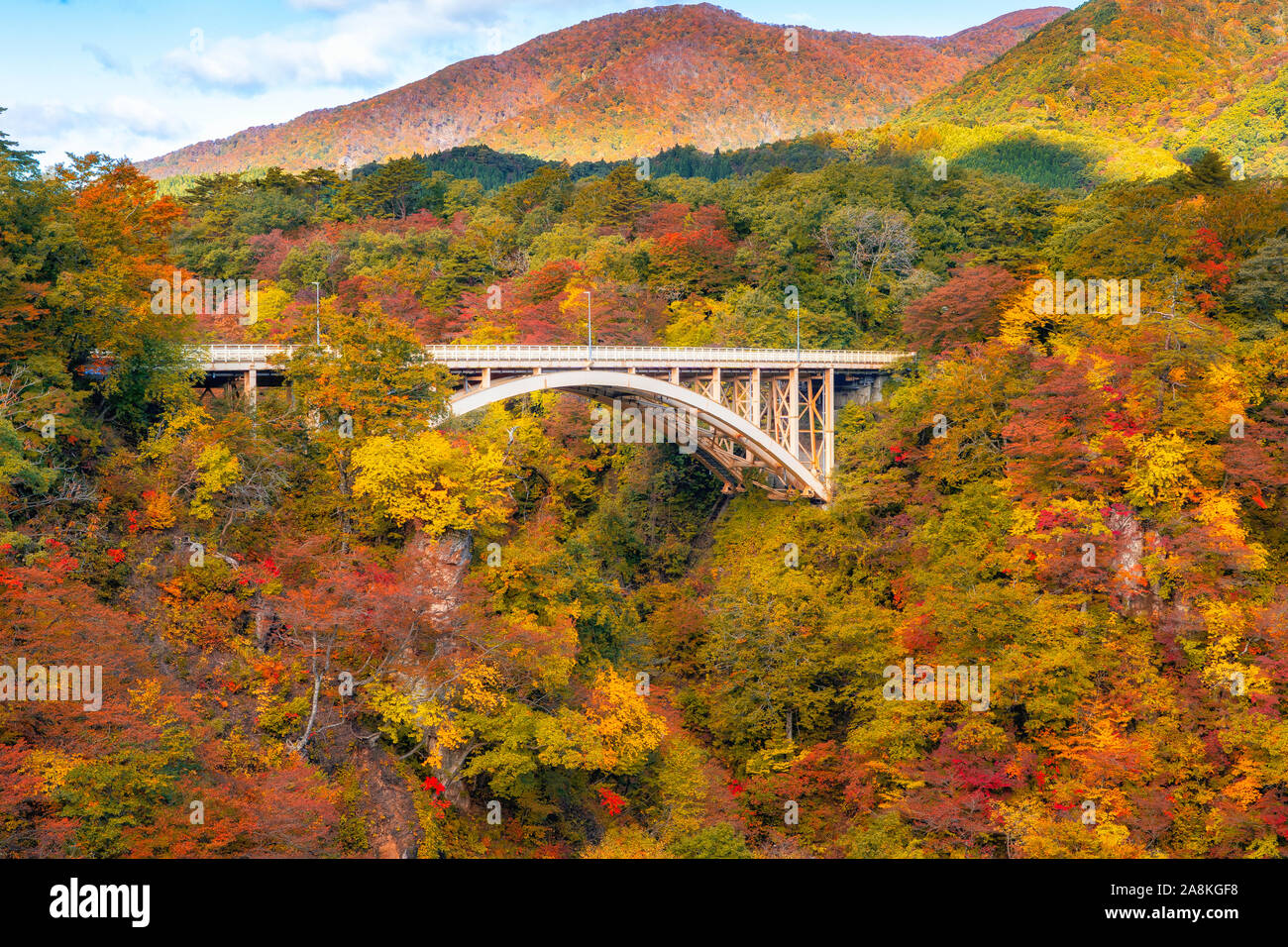 Color leaf around Naruko Bridge, Miyagi, Tohoku, Japan Stock Photo - Alamy