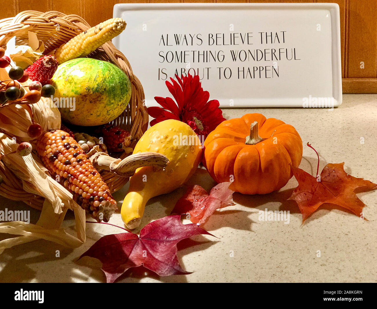 Fall Thanksgiving decoration of cornucopia filled with gourds, corn and ...
