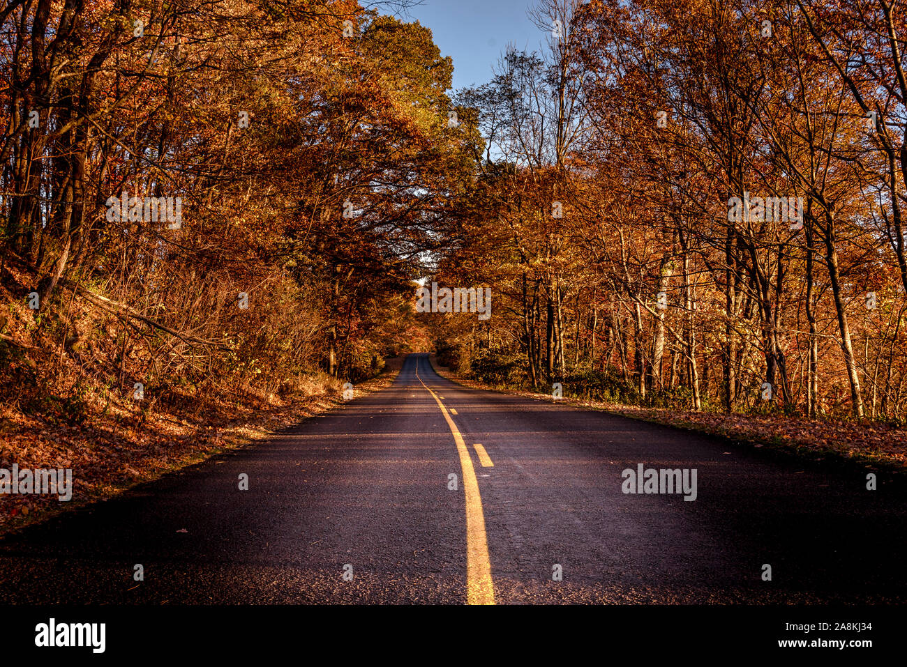 Vibrant colors in Blue Ridge Parkway roads during sunset at the Golden ...