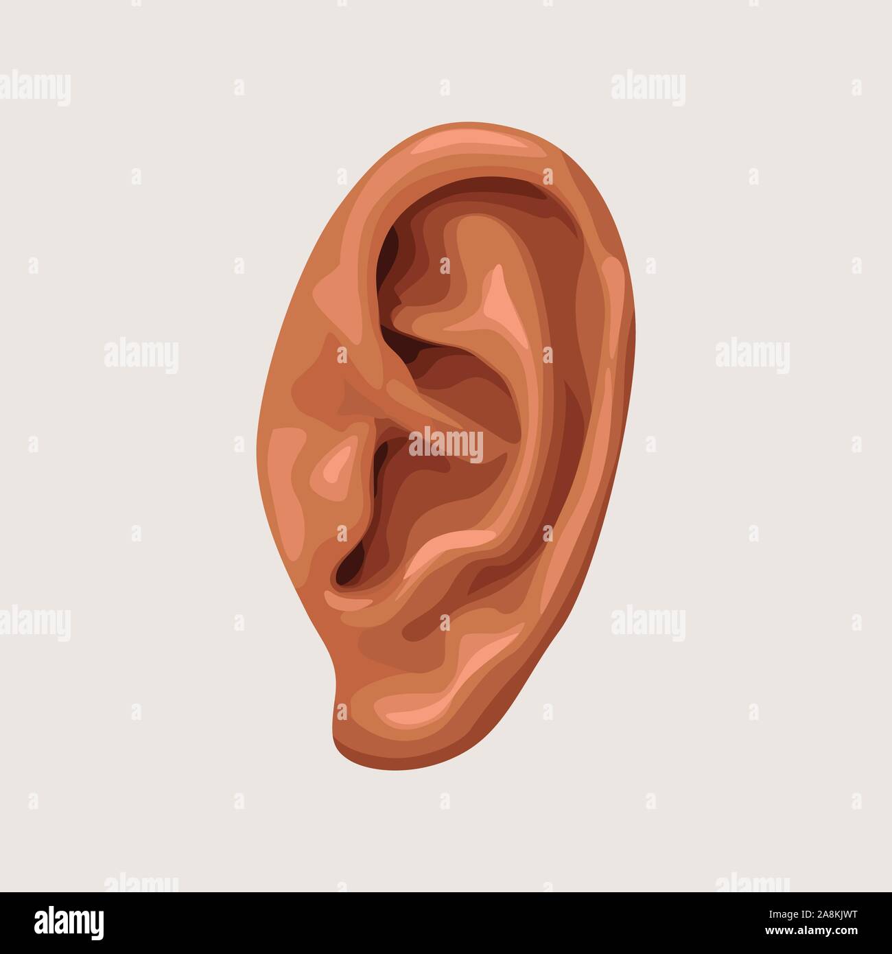human ear on white background Stock Vector Image & Art - Alamy