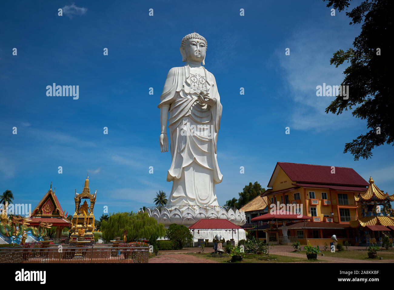 The giant, white, standing Buddha sculpure holding a flower at Buddhist ...