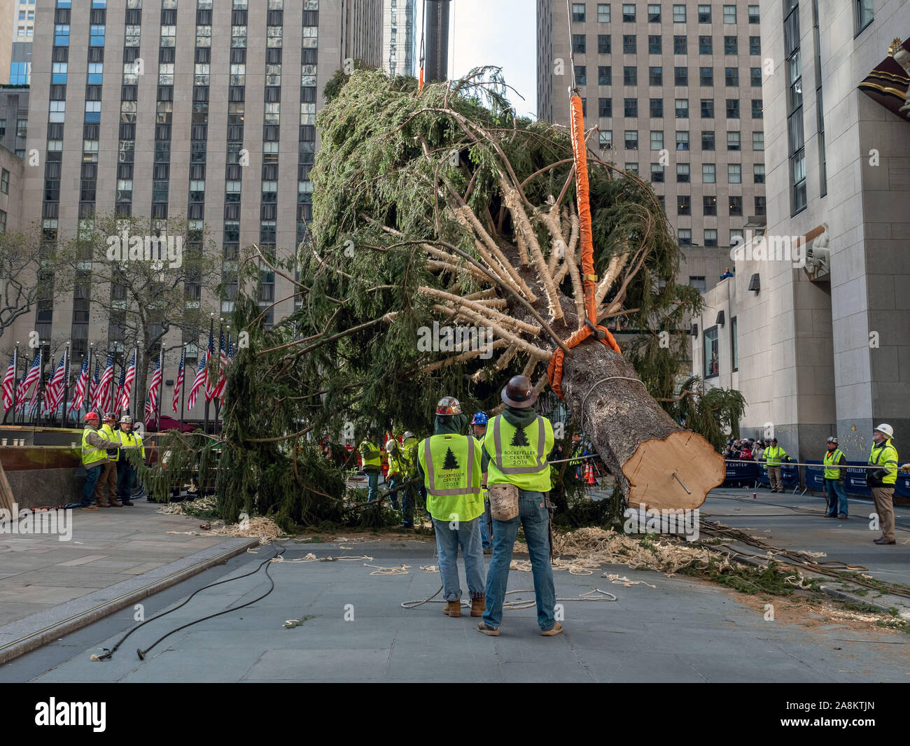 70 foot tall tree hi-res stock photography and images - Alamy