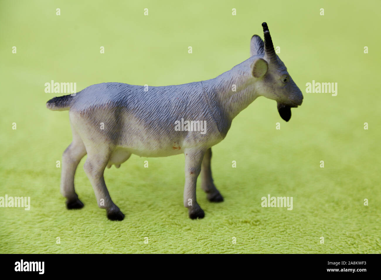 Plastic goat hi-res stock photography and images - Alamy