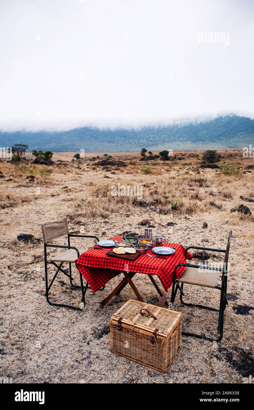 Safari outdoor picnic with African Tanzanian cuisine with baked Chapati ...