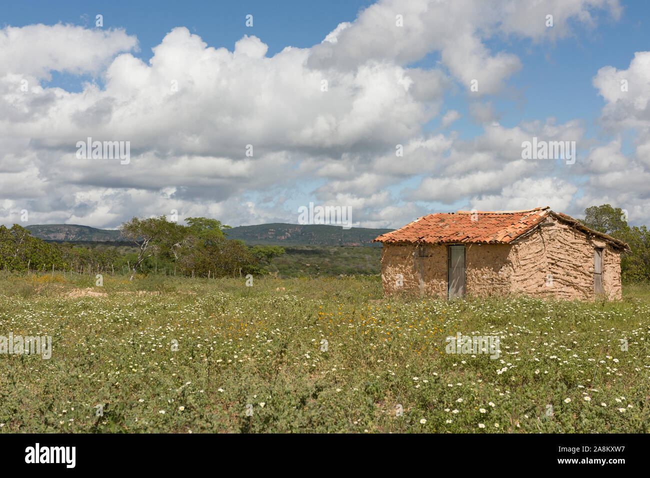 Brazilian farm house hi-res stock photography and images - Alamy