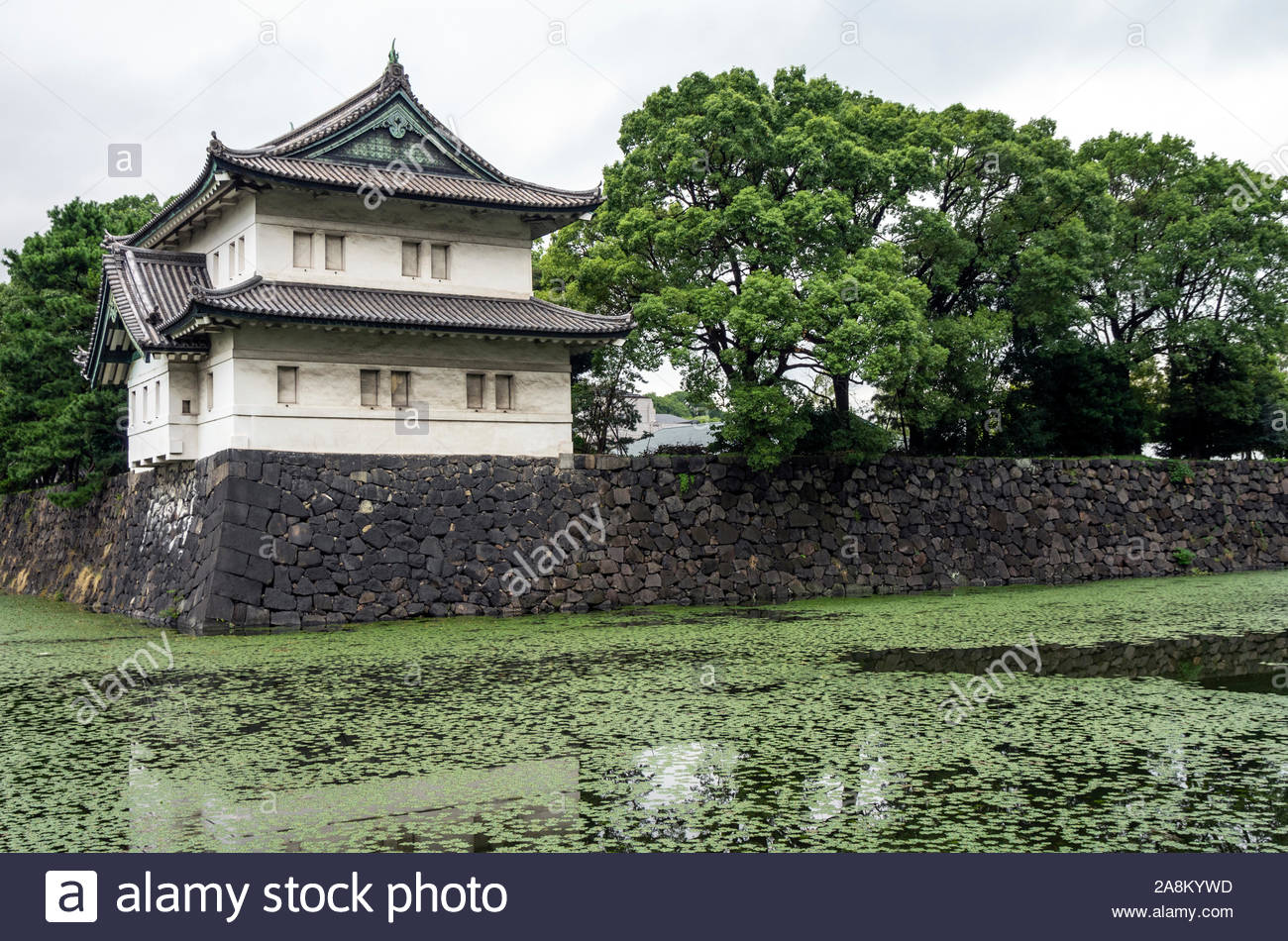 Edo Castle High Resolution Stock Photography and Images - Alamy