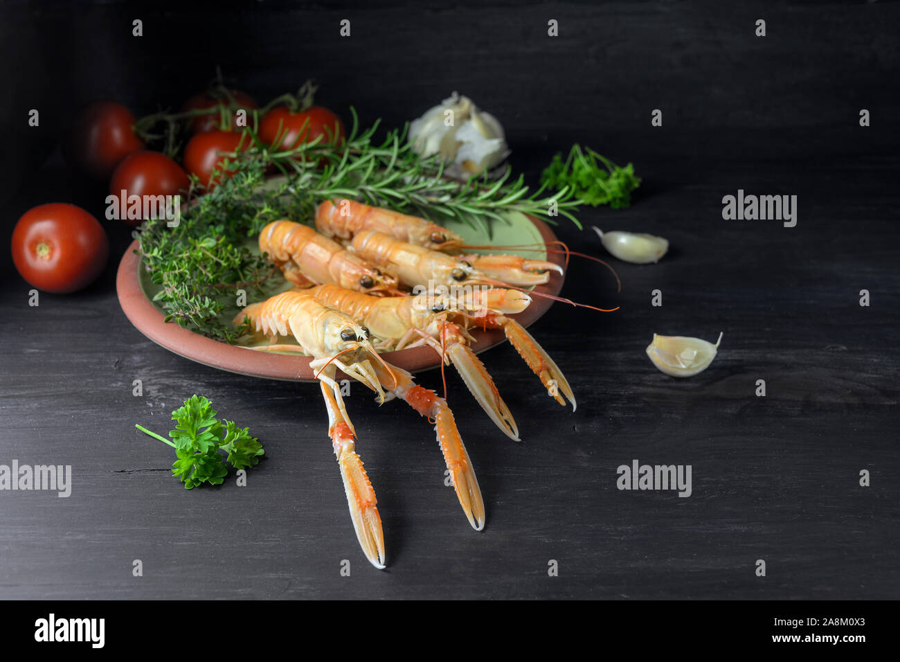 Fresh scampi, also called Norway Lobster or langoustine on a plate ...