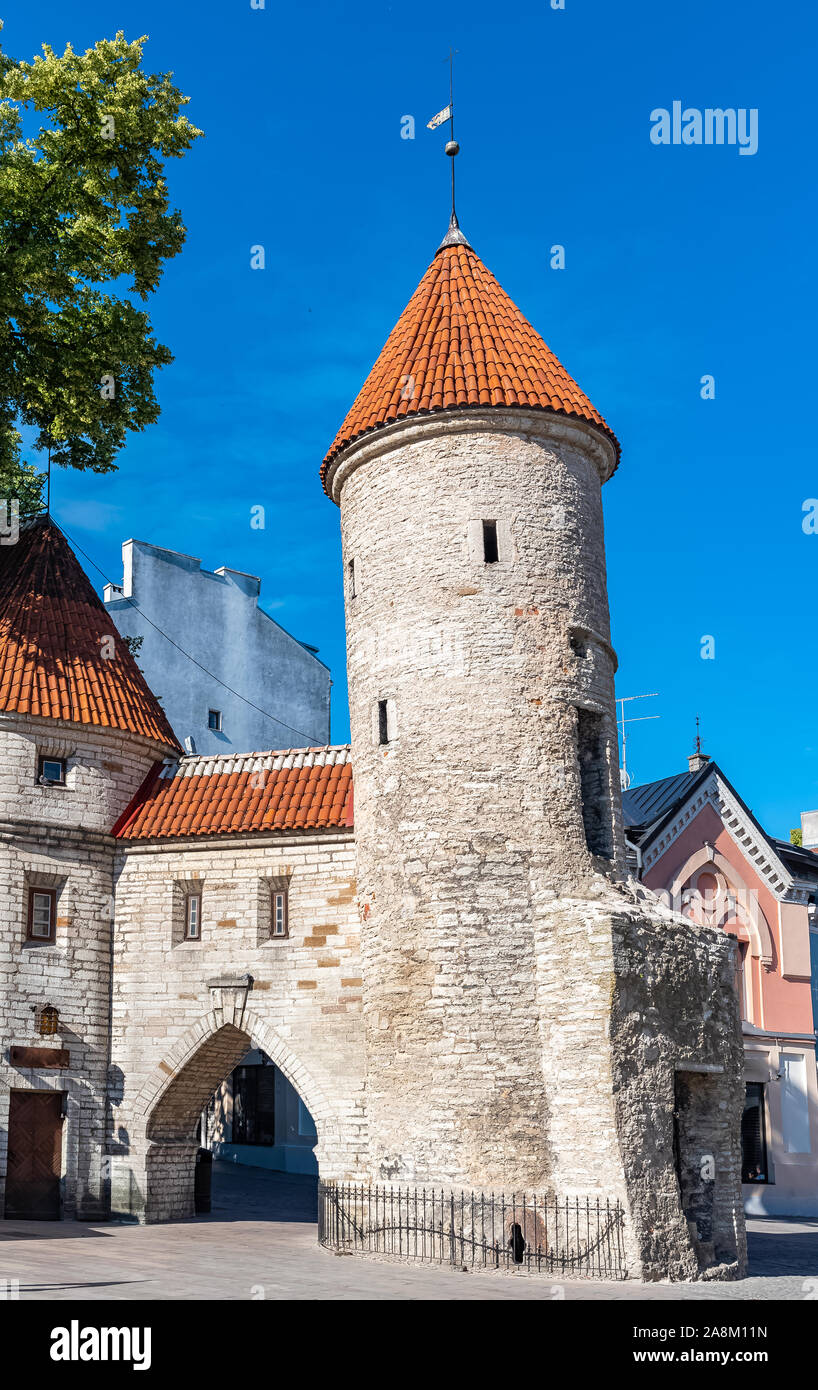 Tallinn in Estonia, colorful houses in the medieval city, typical ...