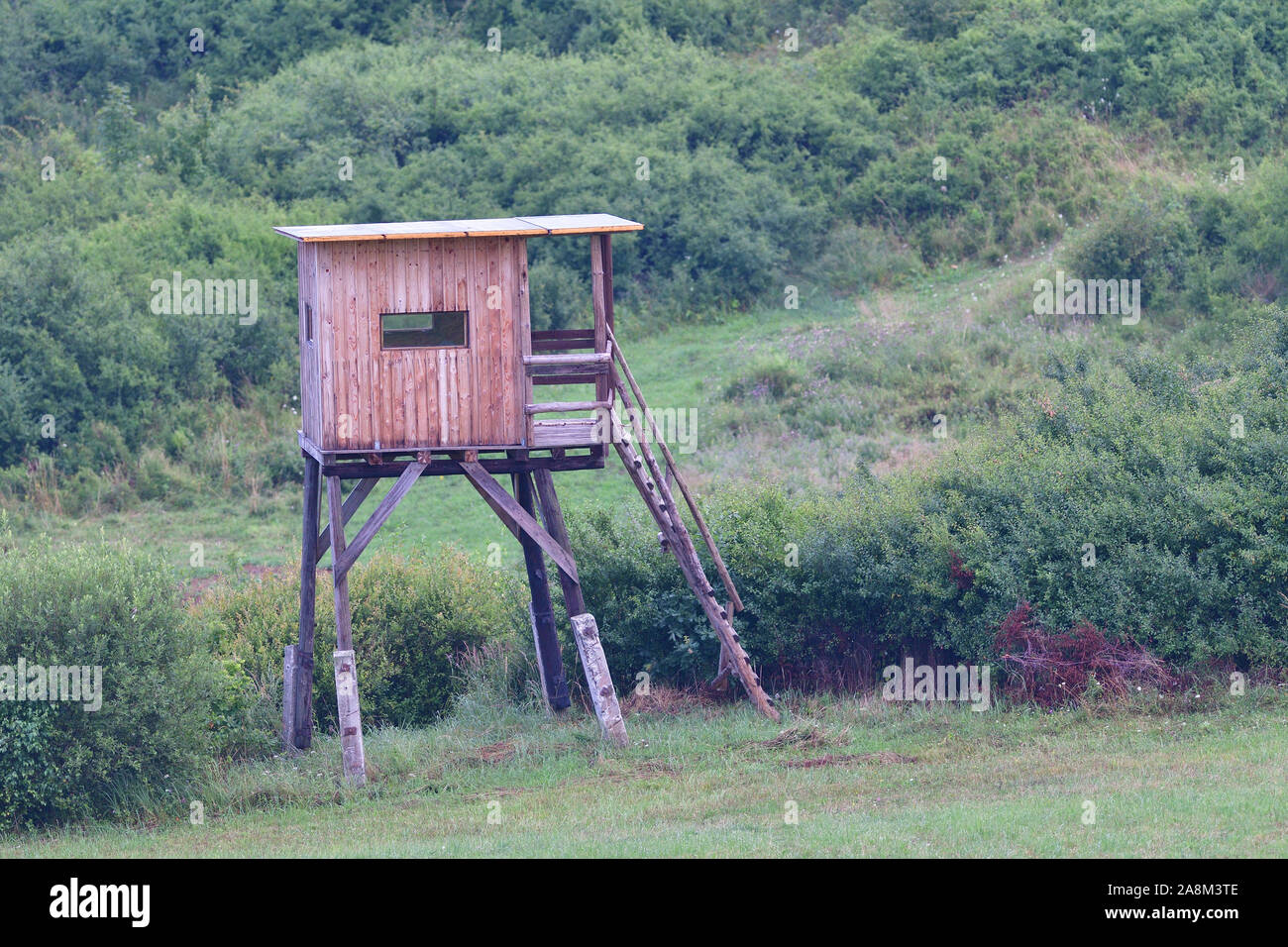wooden lookout tower for birdwatching wildlife animal Stock Photo - Alamy