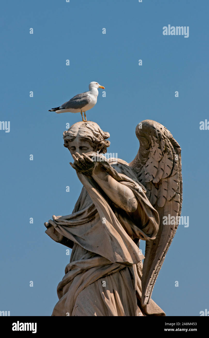 Gabbiano gian hi-res stock photography and images - Alamy