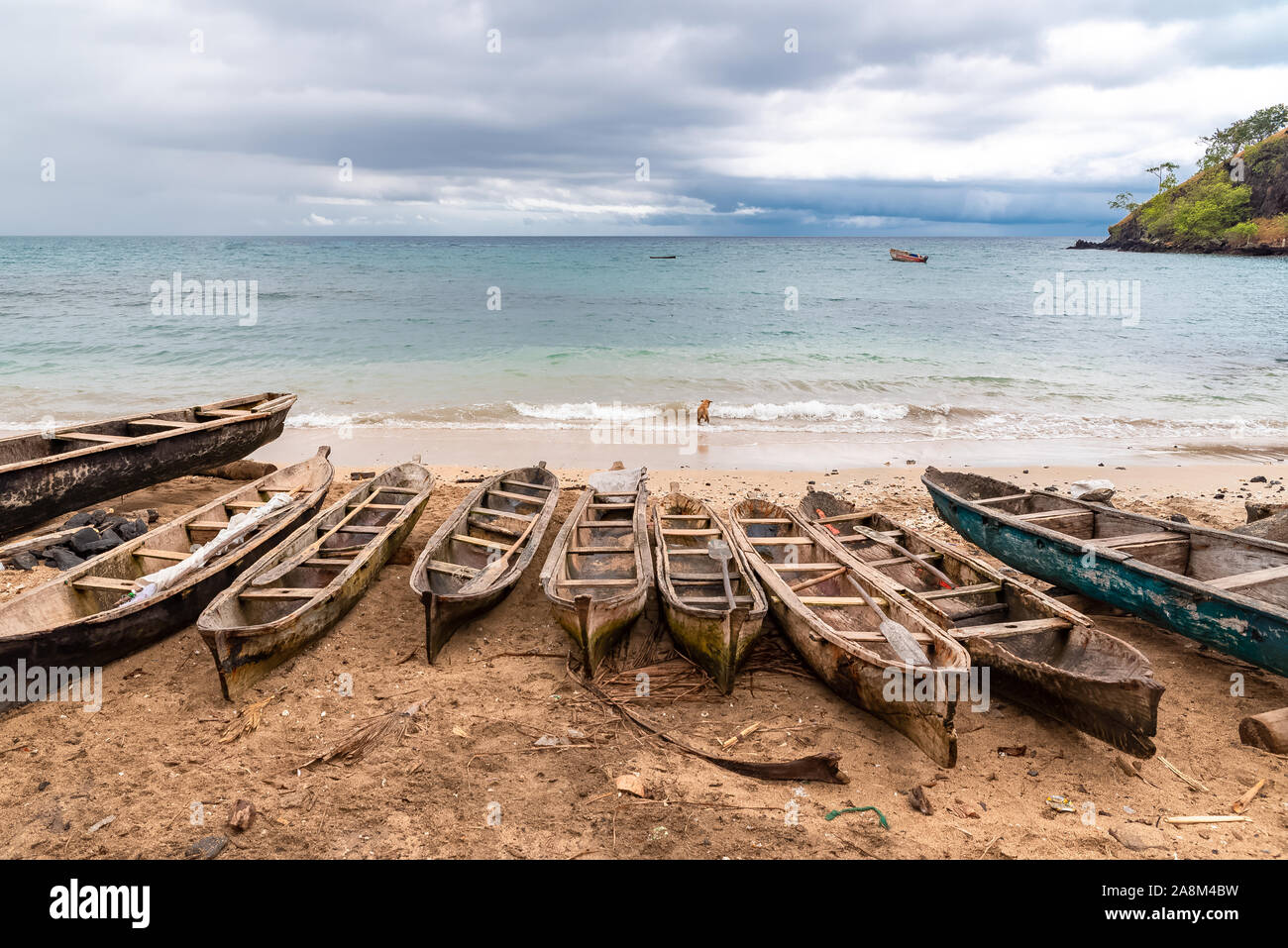 Dugout boat museum hi-res stock photography and images - Alamy