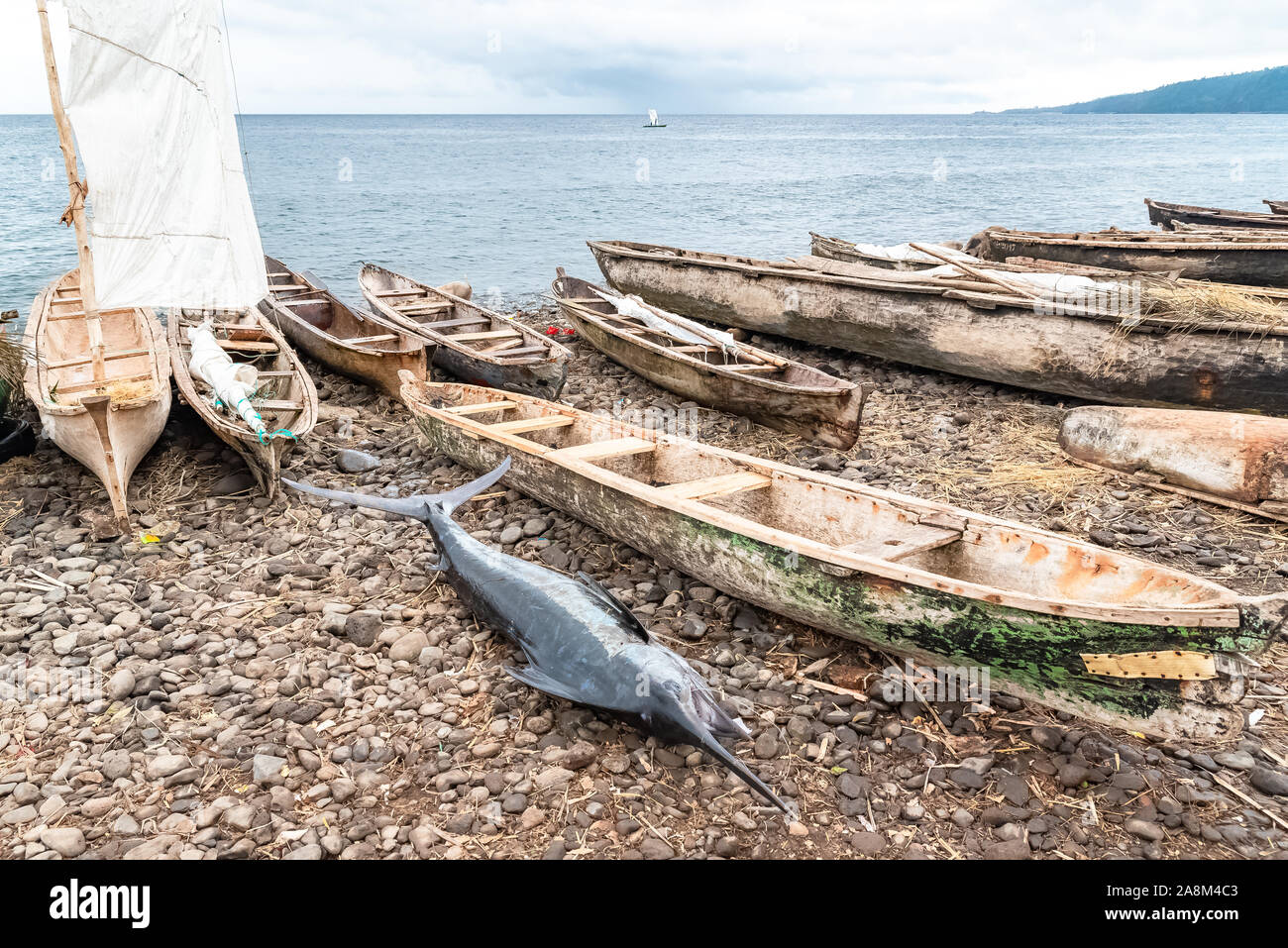 Dugout boat museum hi-res stock photography and images - Alamy