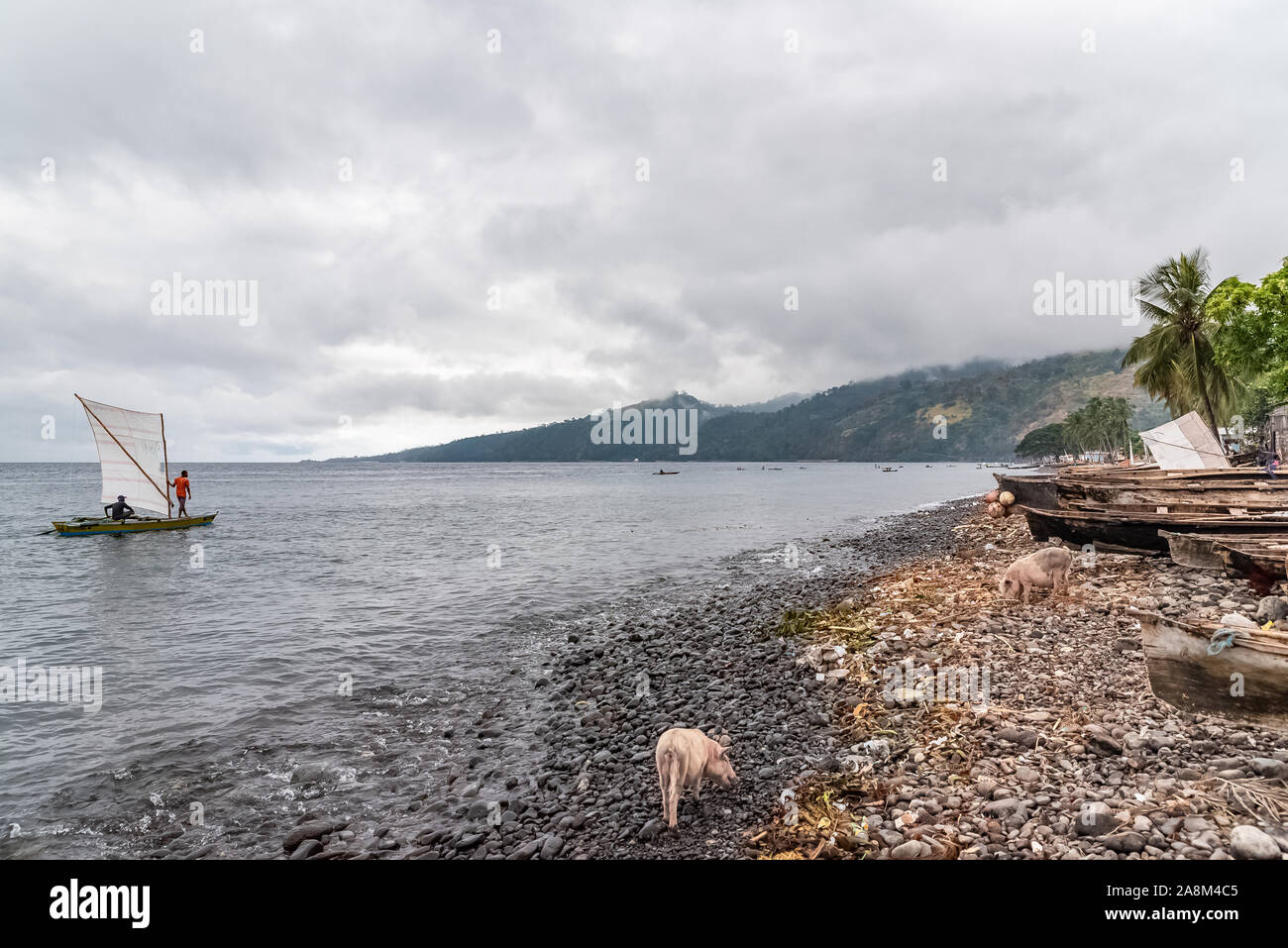Dugout boat museum hi-res stock photography and images - Alamy