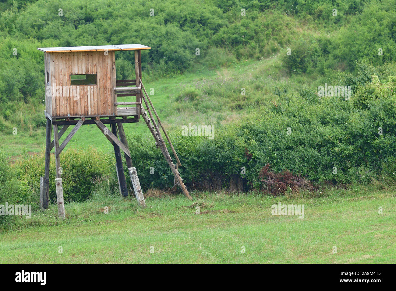 wooden lookout tower for birdwatching wildlife animal Stock Photo - Alamy