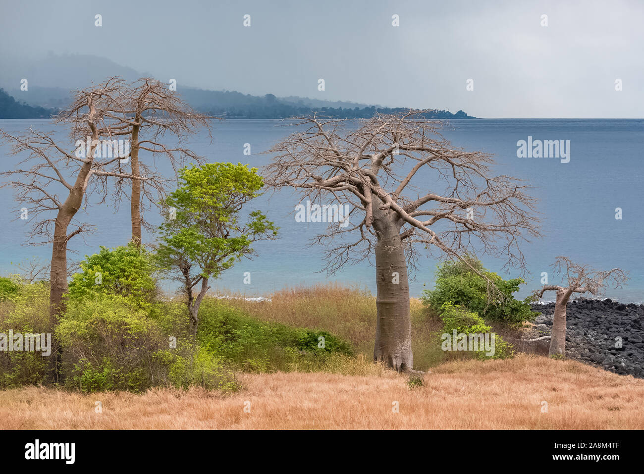 Príncipe Island Africa High Resolution Stock Photography and Images - Alamy