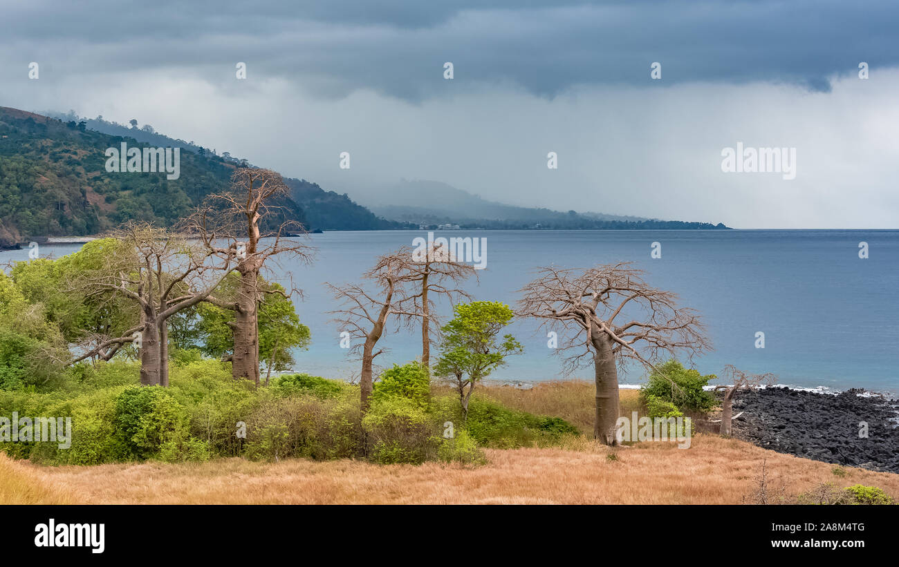 Príncipe island africa hi-res stock photography and images - Alamy