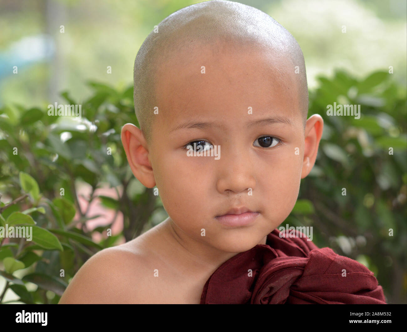Boy poses for camera hi-res stock photography and images - Alamy