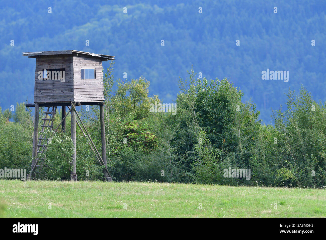 wooden lookout tower for birdwatching wildlife animal Stock Photo - Alamy