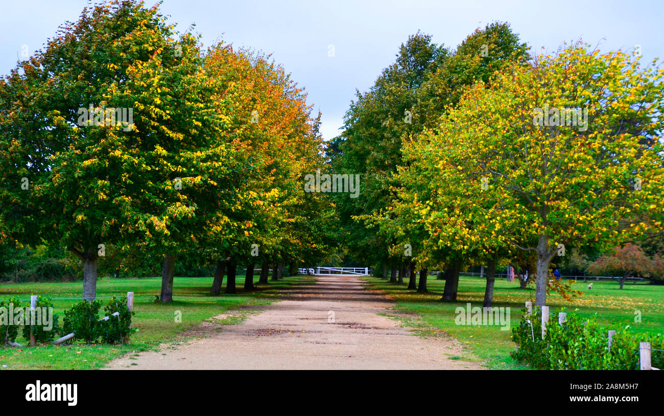 Netley park hi-res stock photography and images - Alamy