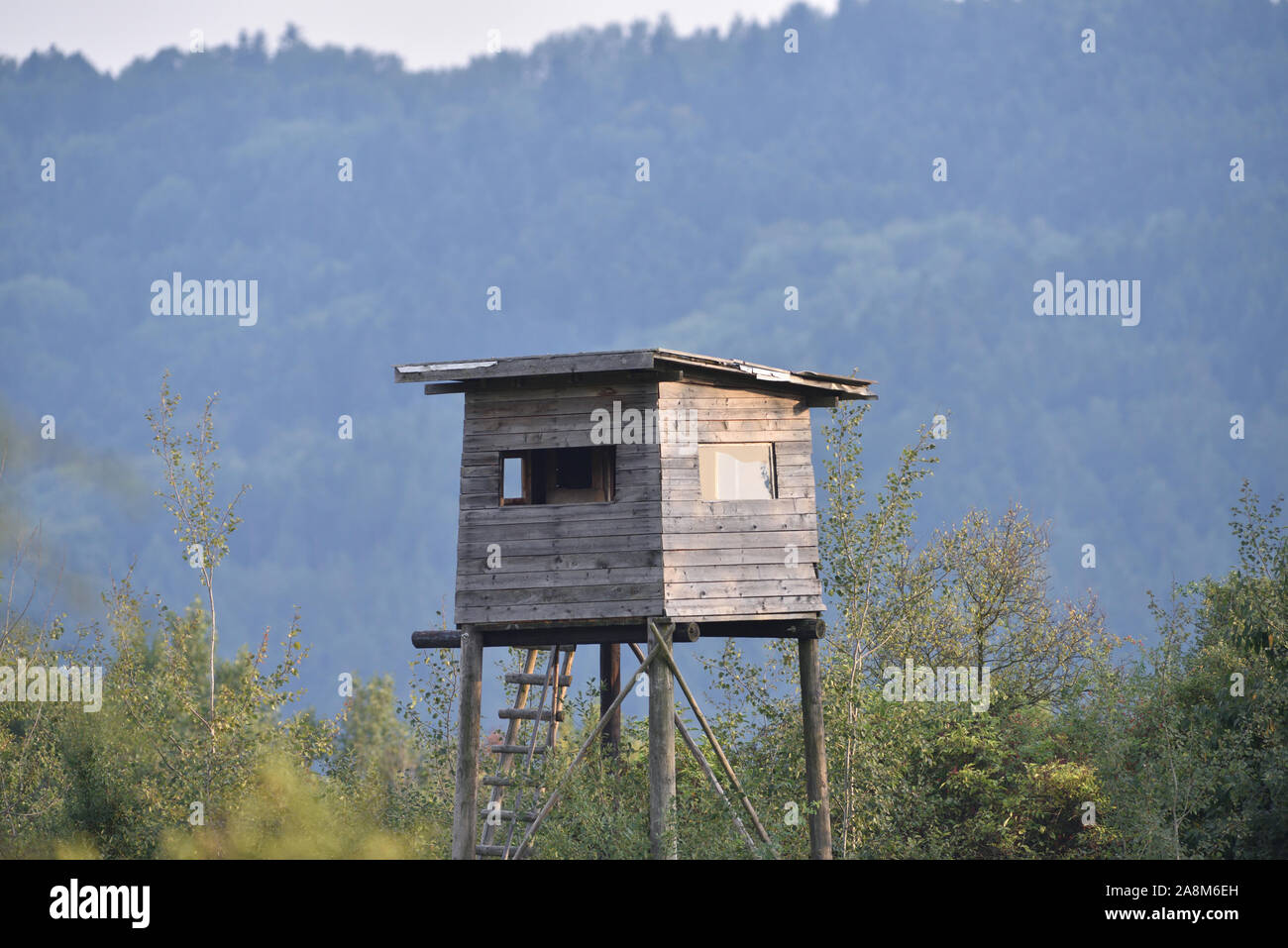 wooden lookout tower for birdwatching wildlife animal Stock Photo - Alamy