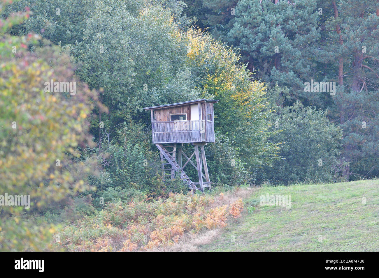 wooden lookout tower for birdwatching wildlife animal Stock Photo - Alamy