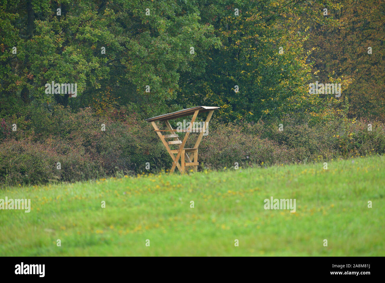 wooden lookout tower for birdwatching wildlife animal Stock Photo - Alamy