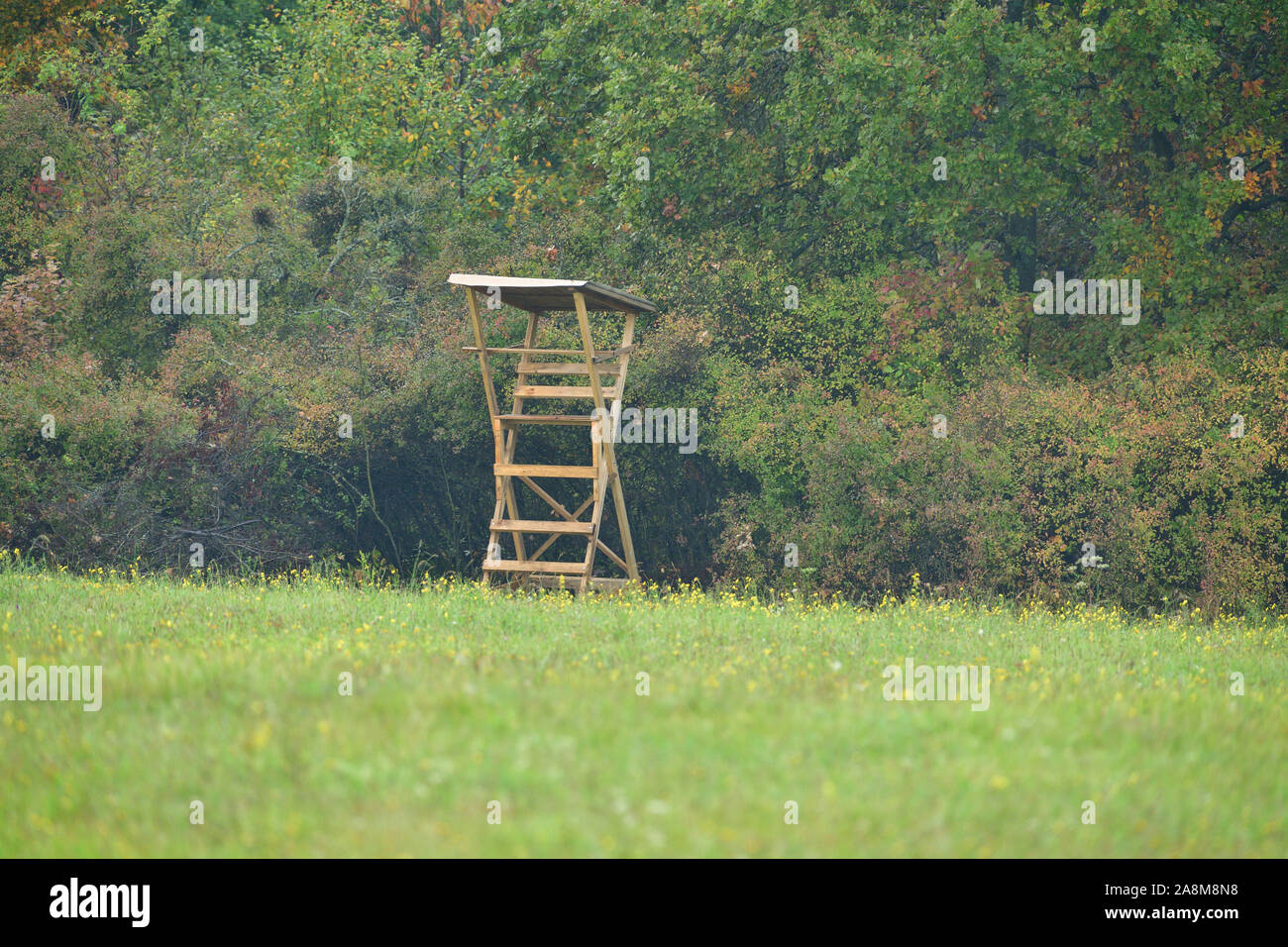 wooden lookout tower for birdwatching wildlife animal Stock Photo - Alamy