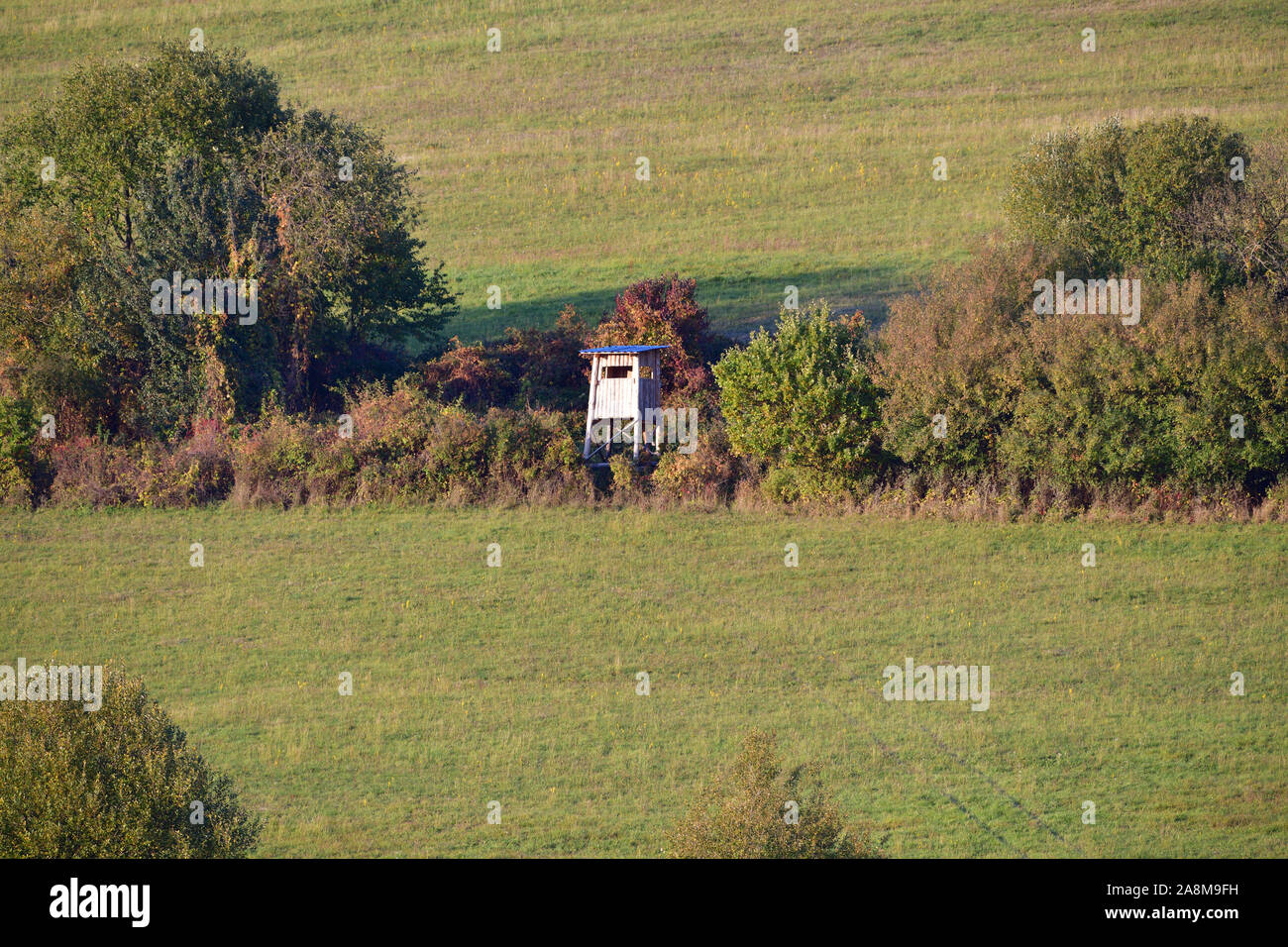 wooden lookout tower for birdwatching wildlife animal Stock Photo - Alamy