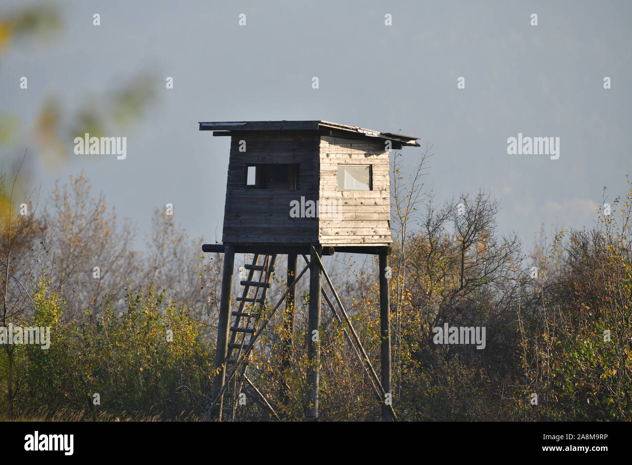 wooden lookout tower for birdwatching wildlife animal Stock Photo - Alamy