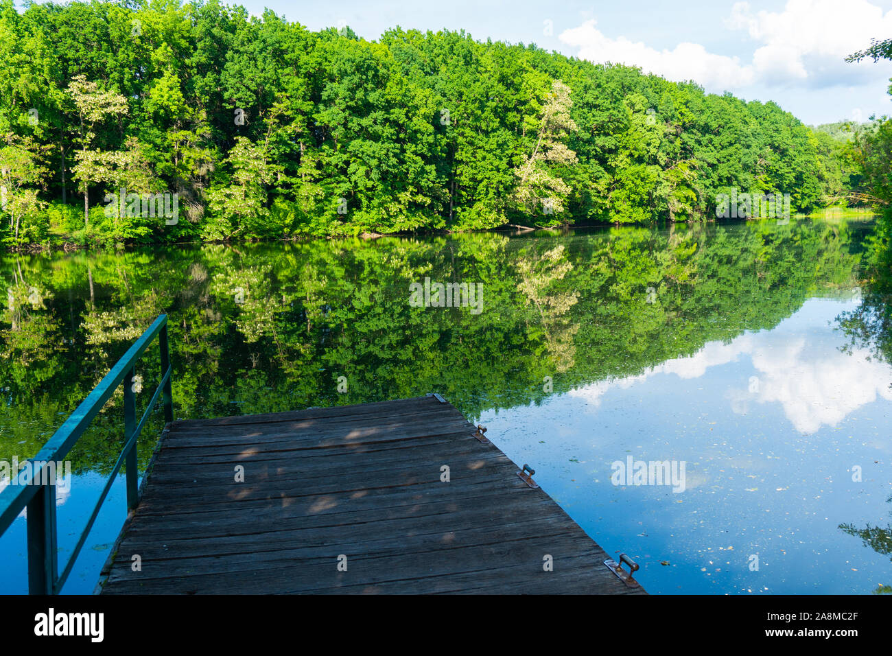 Forest lake with blue water, forest at background and pond Stock Photo ...