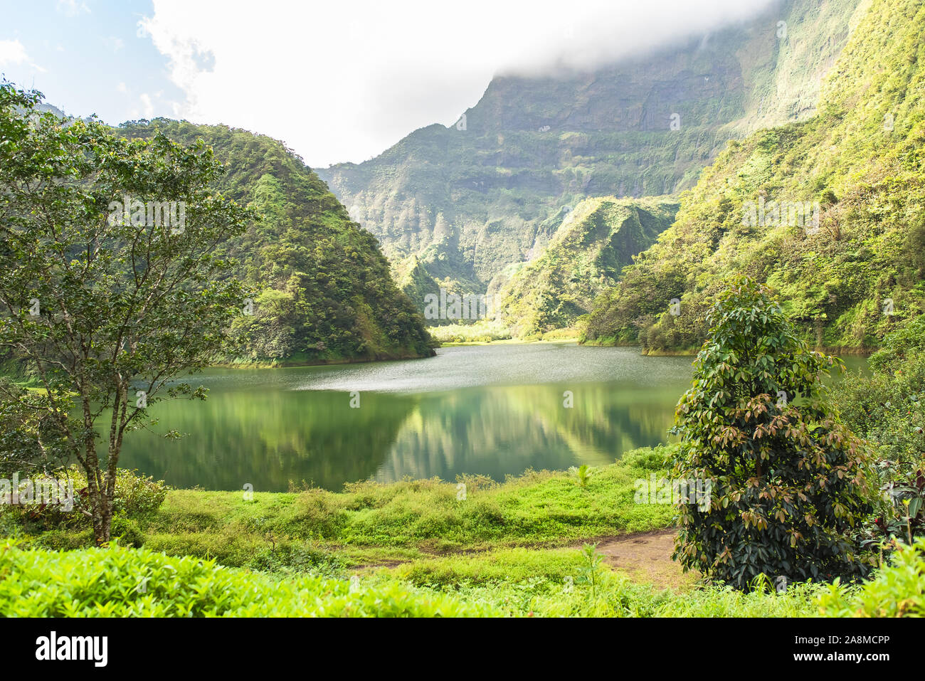 Tahiti French Polynesia Vegetation High Resolution Stock Photography ...