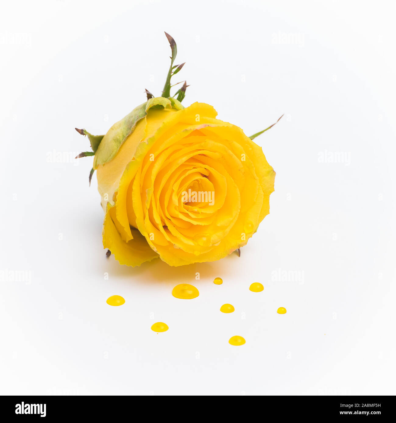Crying rose hi-res stock photography and images - Alamy