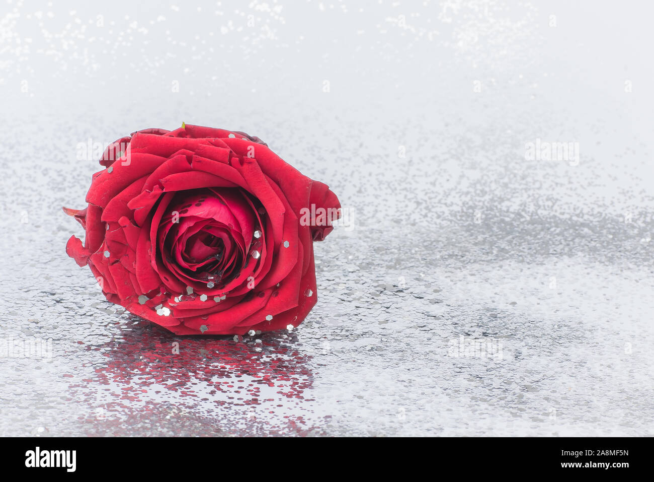 Crying rose hi-res stock photography and images - Alamy