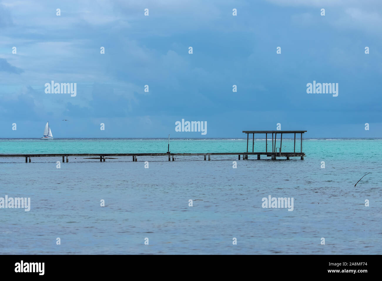 blue ocean water and wooden pier in French Polynesia, Moorea Stock ...