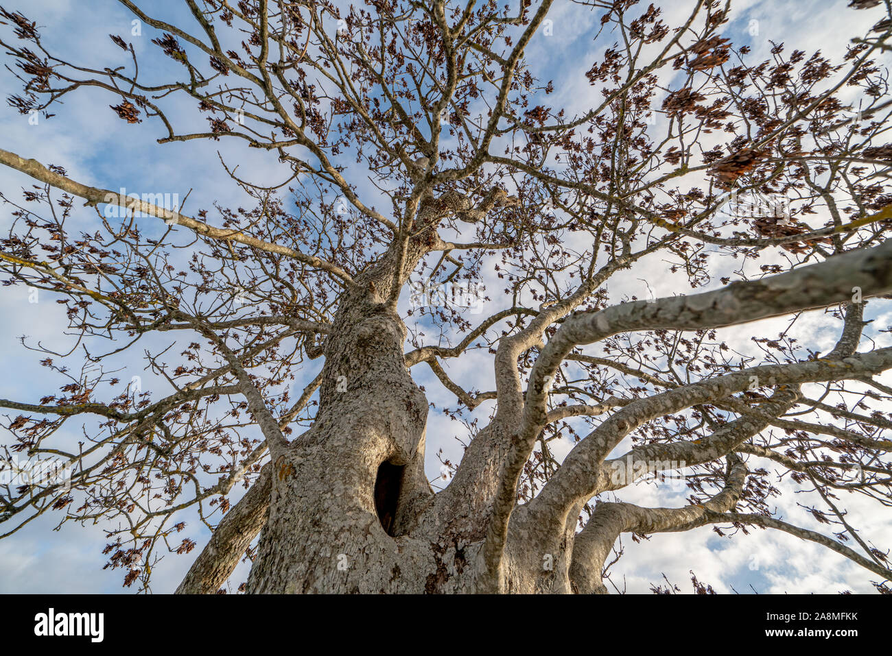 Omberg vattern hi-res stock photography and images - Alamy