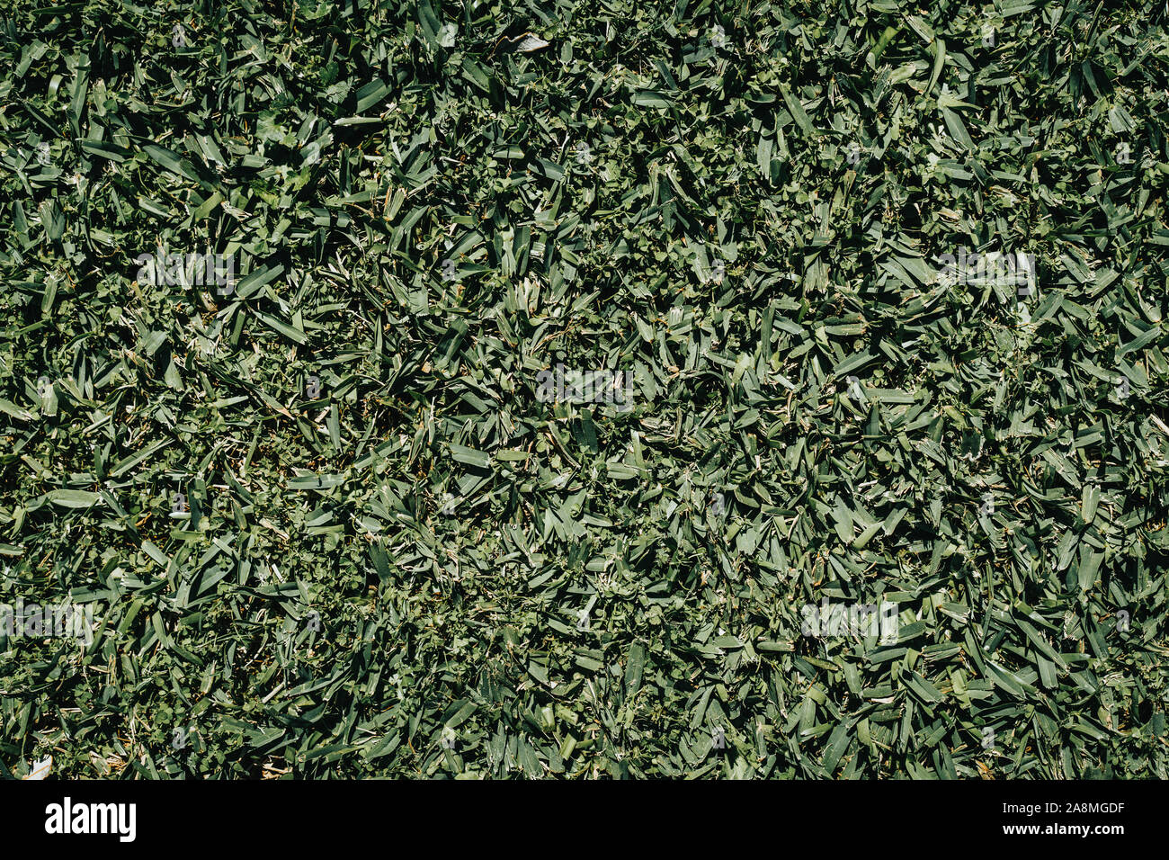 Real natural background field hi-res stock photography and images - Alamy