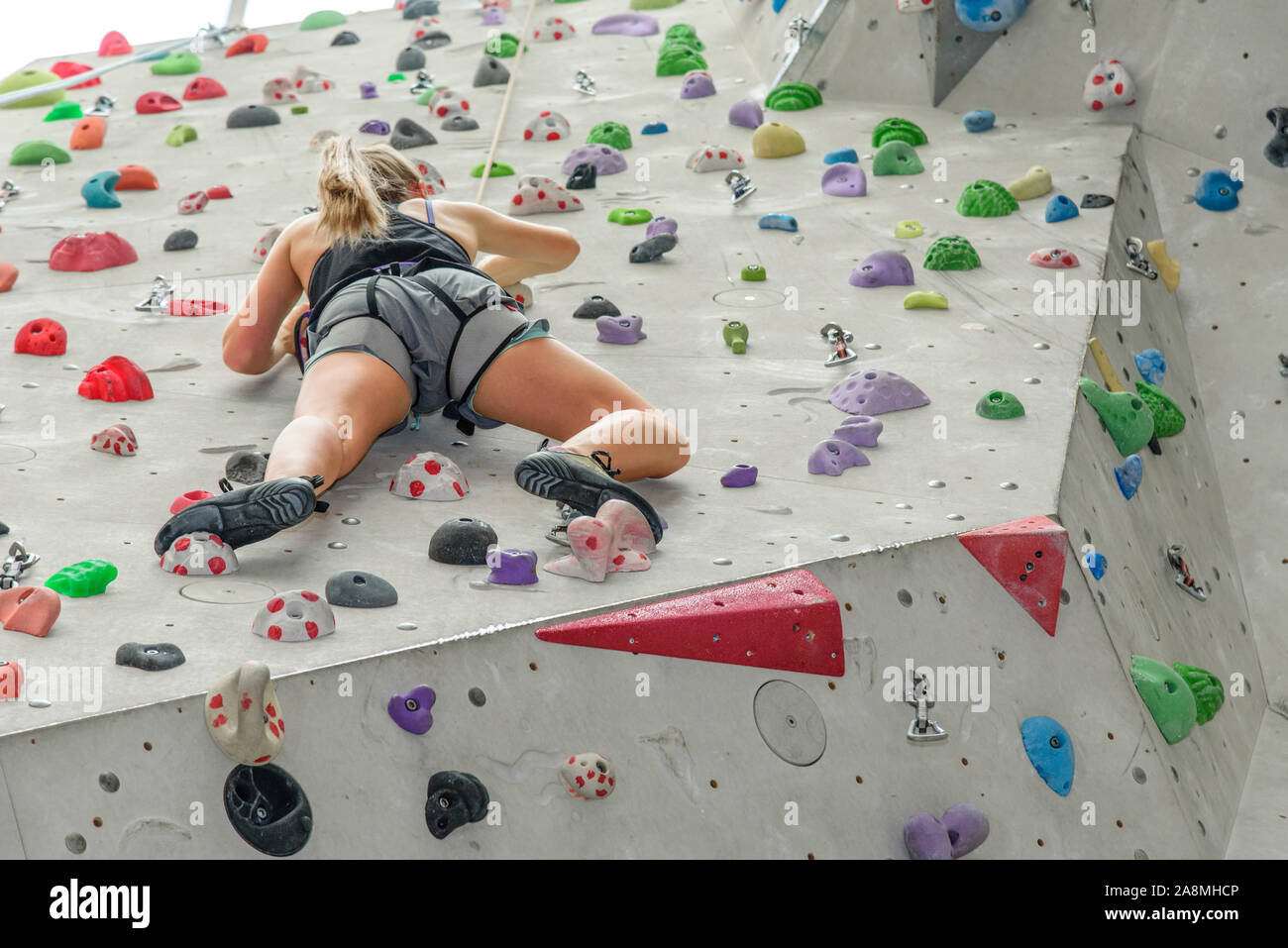 Climber during strenuous workout at a wall in indoor climbing hall ...