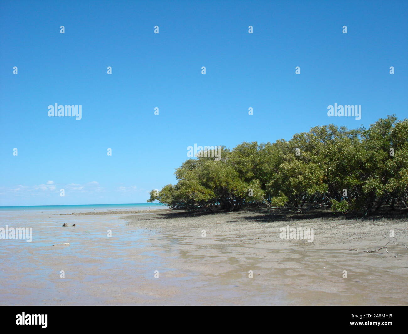 Darwin, Australia Sea side Stock Photo - Alamy