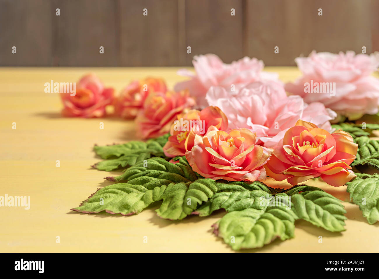Beautiful flowers with leaves hi-res stock photography and images - Alamy
