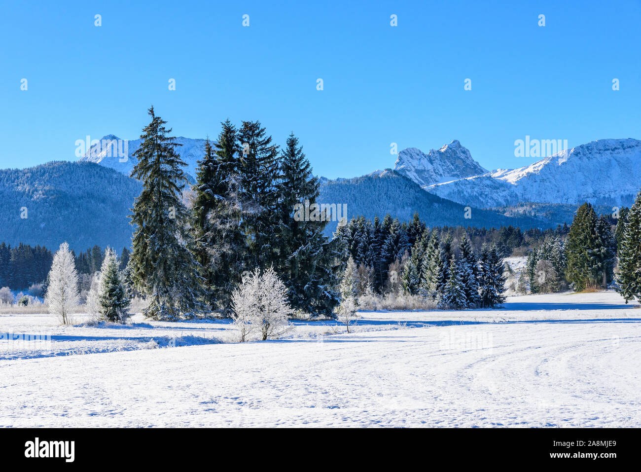 November snow at the alpine border in bavaria Stock Photo - Alamy