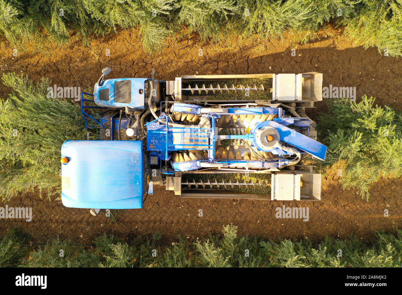 Footage of the harvester hi-res stock photography and images - Alamy