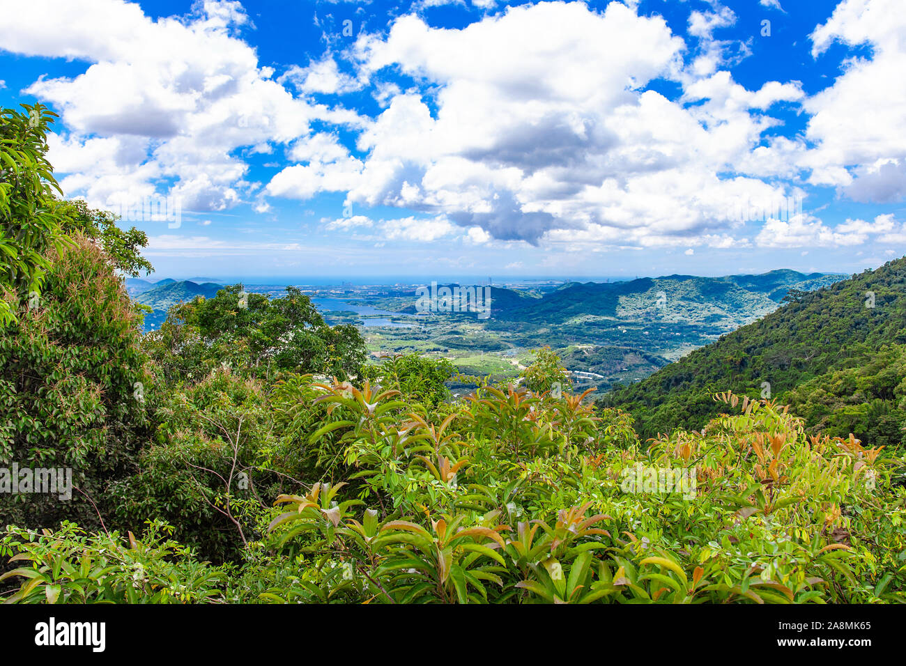 Hainan scenery hi-res stock photography and images - Alamy