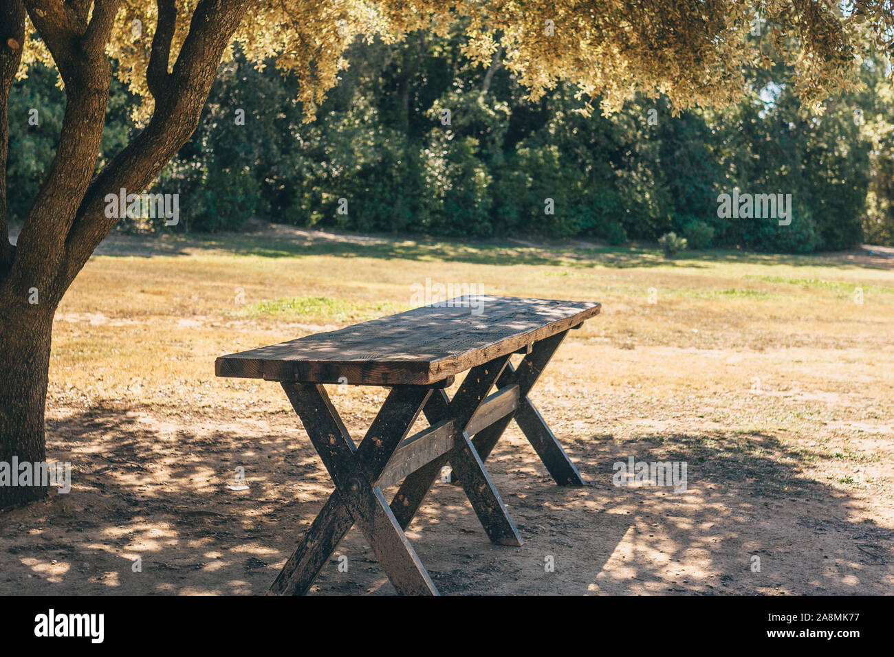 Rustic idyll - an old wooden table under a tree in the garden - a ...